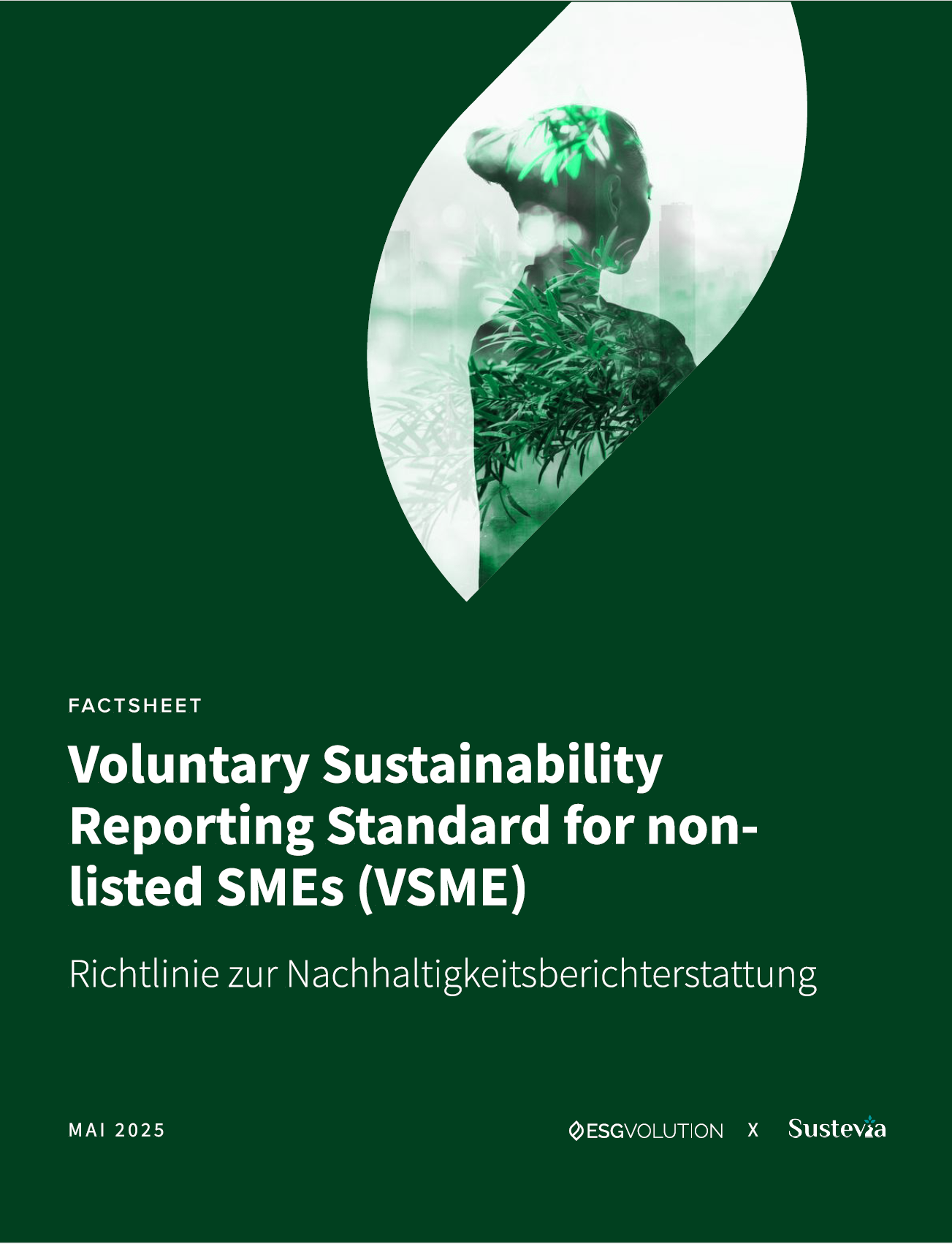 ESG verständlich erklärt | ESGvolution